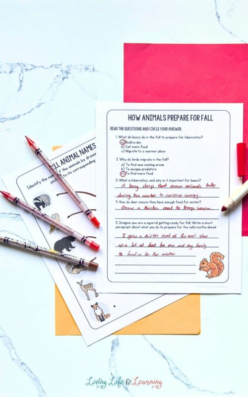 Exploring Fall Adaptation: Animals in Fall Worksheet