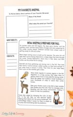 Exploring Fall Adaptation: Animals in Fall Worksheet