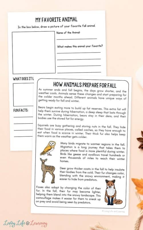 Exploring Fall Adaptation: Animals in Fall Worksheet