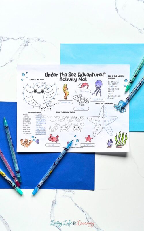 Ocean Activity Mats: Fun and Educational Ocean Explorations
