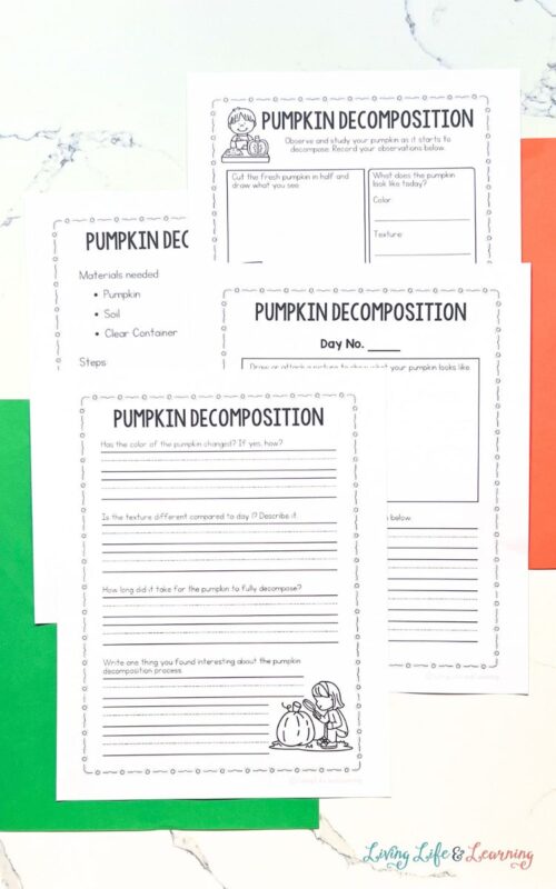 Fun Fall Science Activity: Pumpkin Decomposition Worksheets