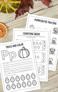 Pumpkin Worksheets for Preschool: Fall Learning Made Fun