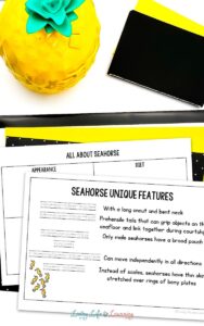 Uncover the Secrets of Seahorses with Fact Writing Worksheets