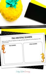 Uncover the Secrets of Seahorses with Fact Writing Worksheets