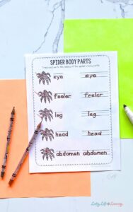 Spider Handwriting Worksheets: Making Writing Fun!
