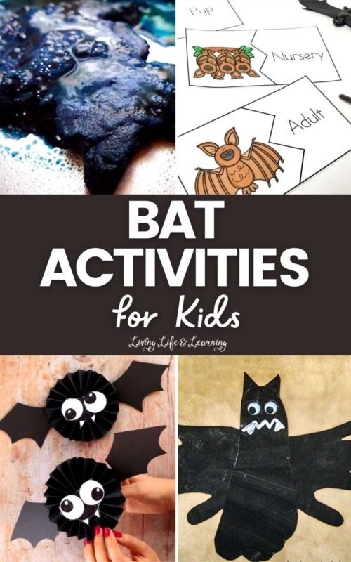 Teach Kids About Bats through Engaging Activities