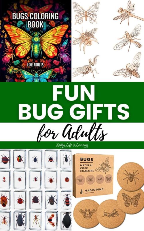 Fun Bug Gifts for Adults: Quirky and Unique Presents