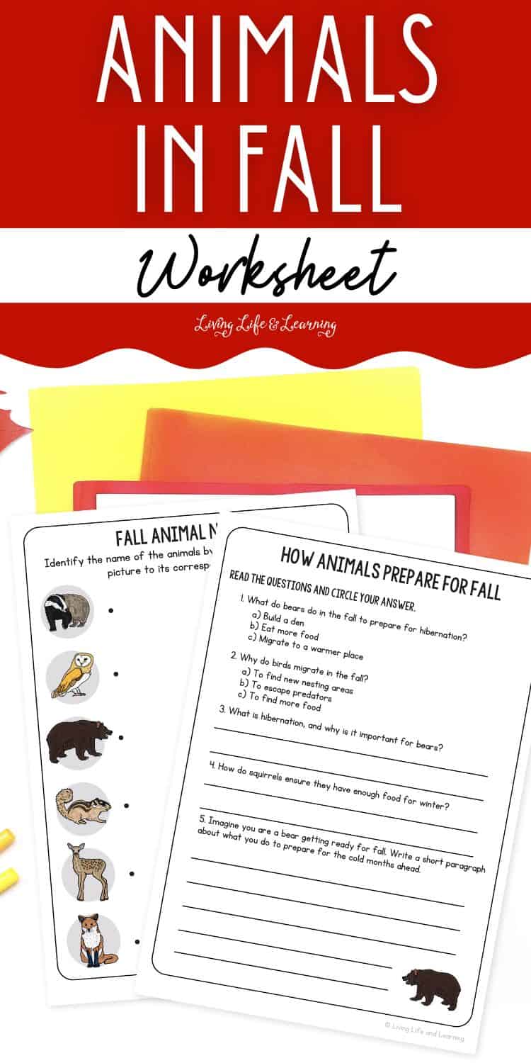 Exploring Fall Adaptation: Animals in Fall Worksheet