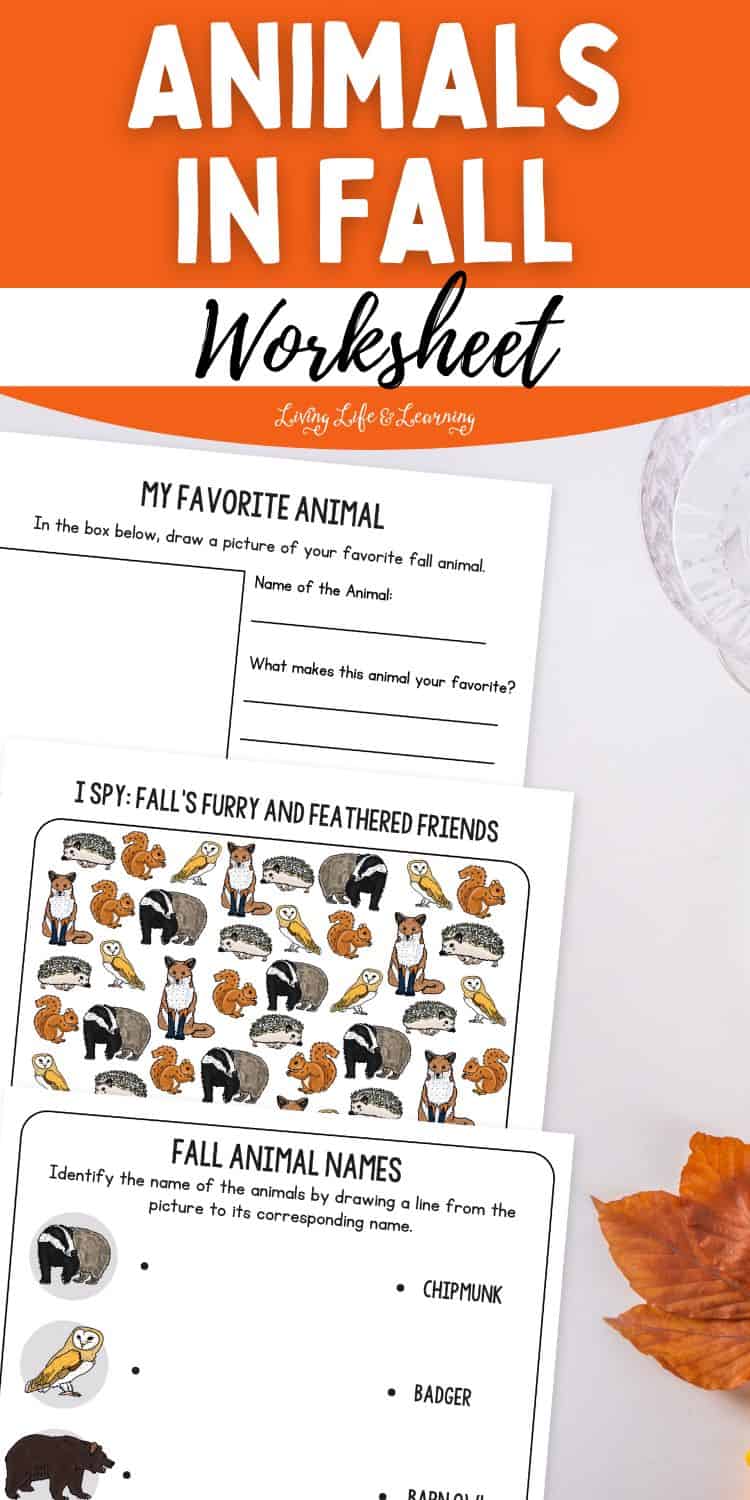 Exploring Fall Adaptation: Animals in Fall Worksheet