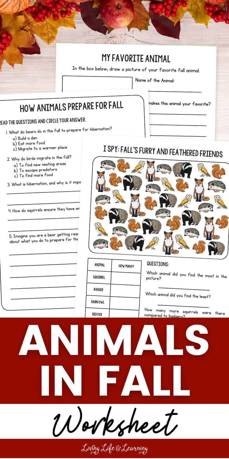 Exploring Fall Adaptation: Animals in Fall Worksheet