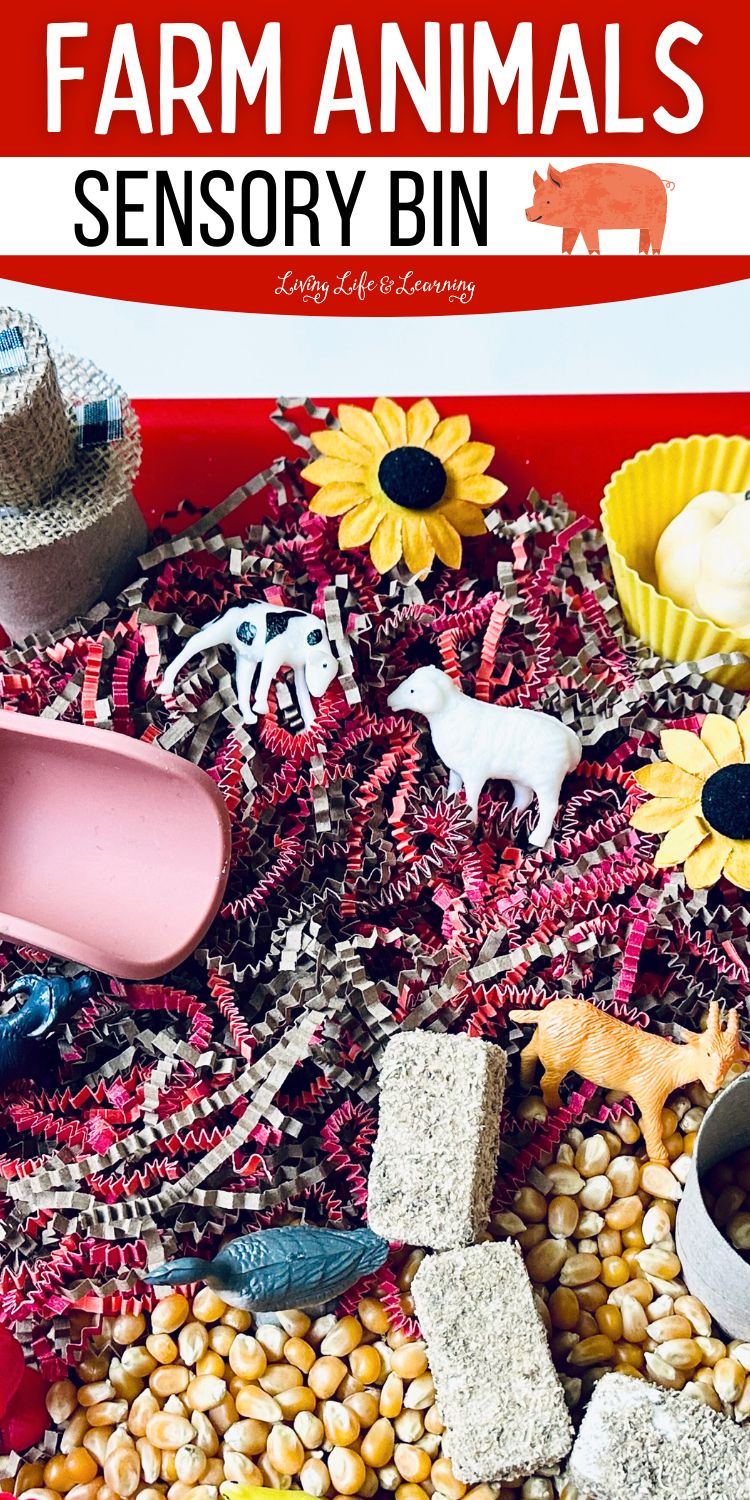 Farm Animals Sensory Bin: Combining Animals and Play for Kids