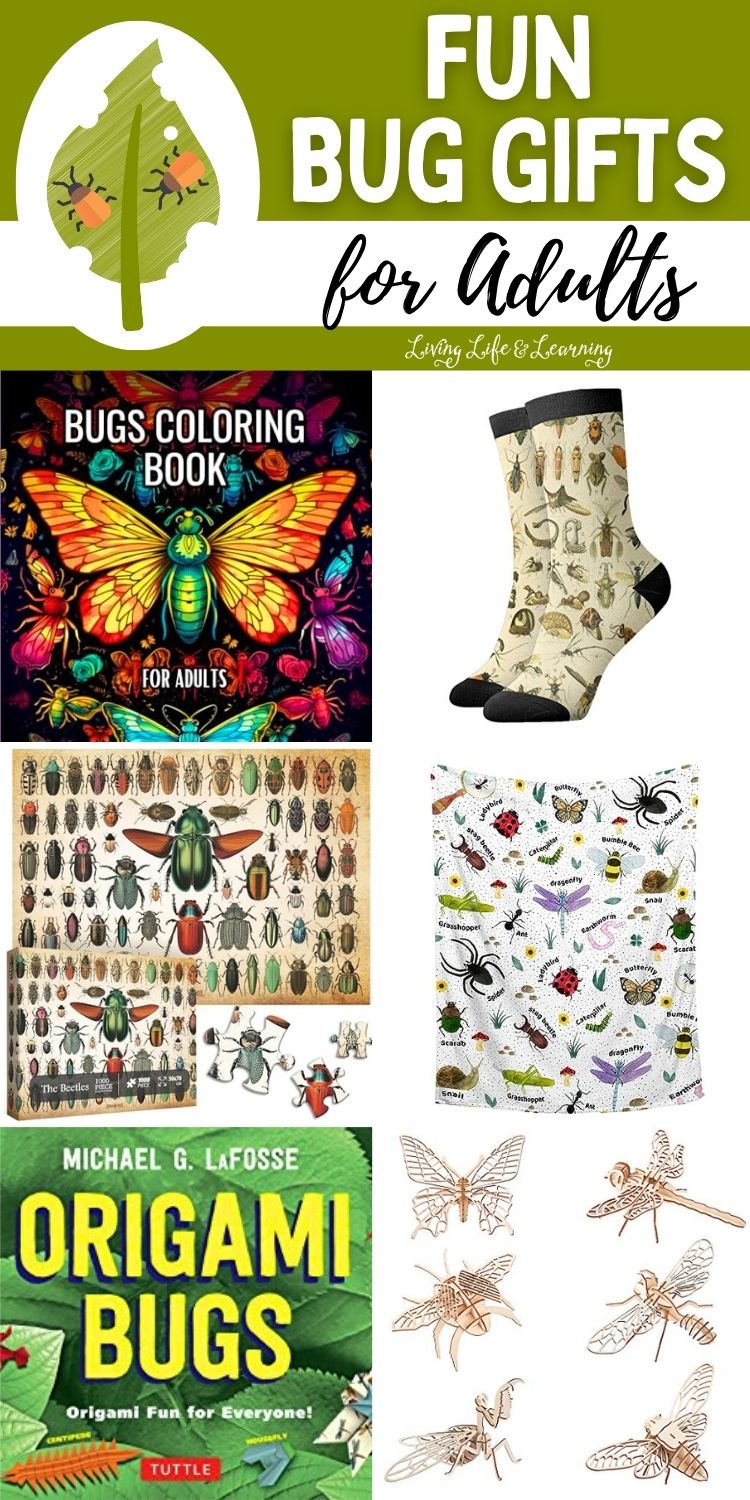 Fun Bug Gifts for Adults: Quirky and Unique Presents