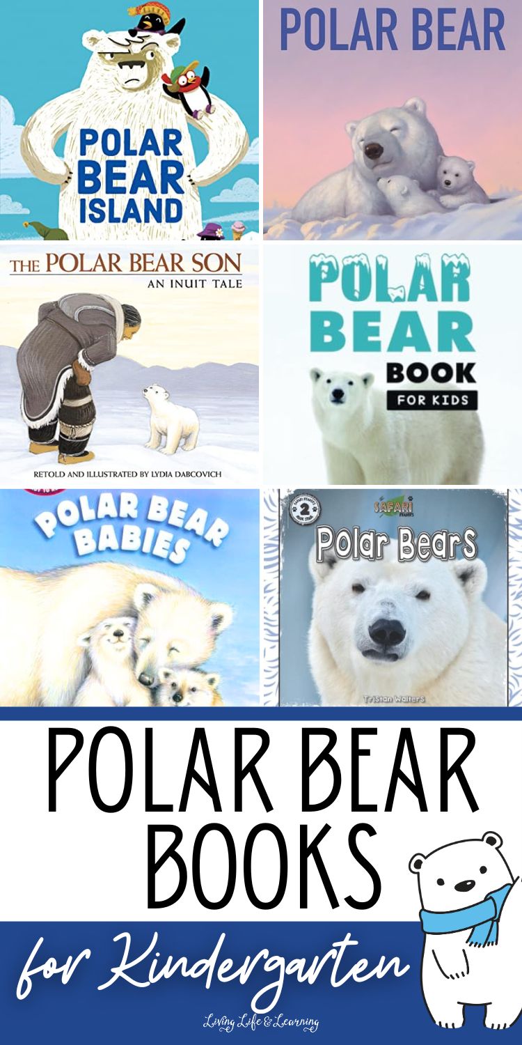 Engage Young Readers with Polar Bear Books for Kindergarten