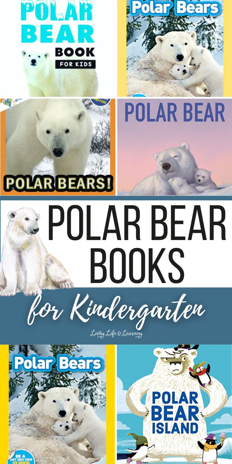 Engage Young Readers with Polar Bear Books for Kindergarten