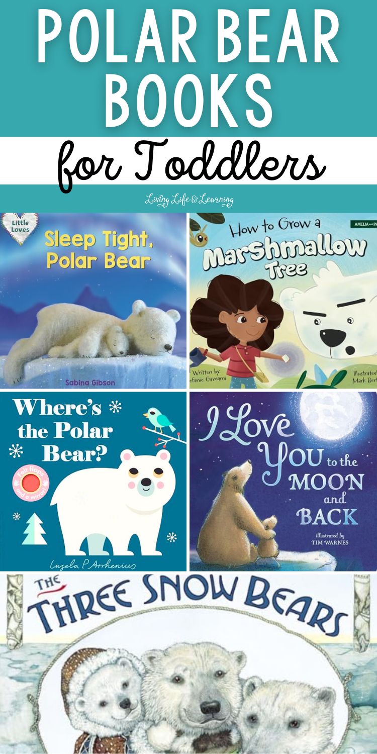 Polar Bear Books for Toddlers: Engaging Winter Reads for Kids