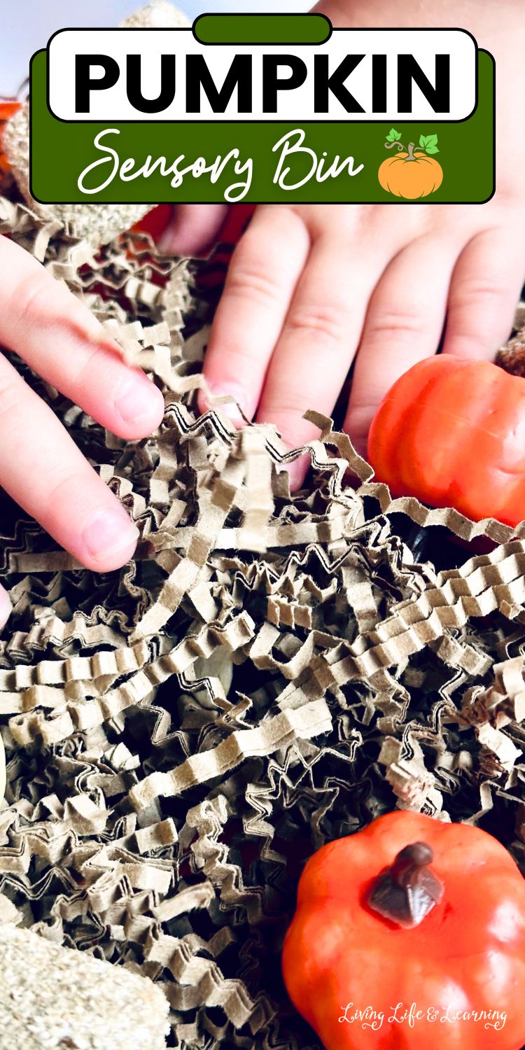 Get Creative with a Pumpkin Sensory Bin for Kids