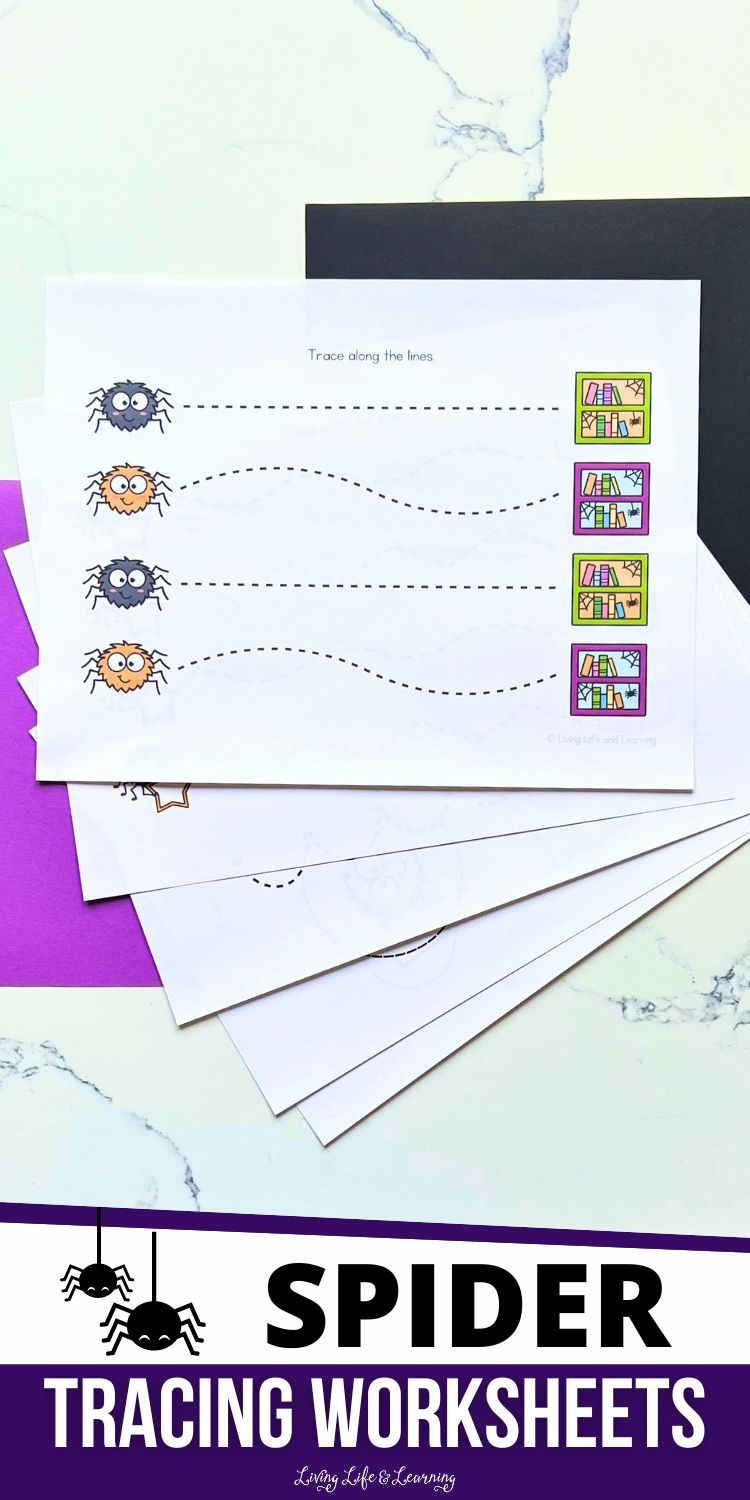 Spider Tracing Worksheets for Creepy-Crawly Fun