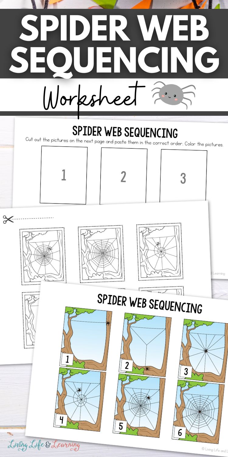 Spider Web Sequencing Worksheet: Fun and Educational Activity