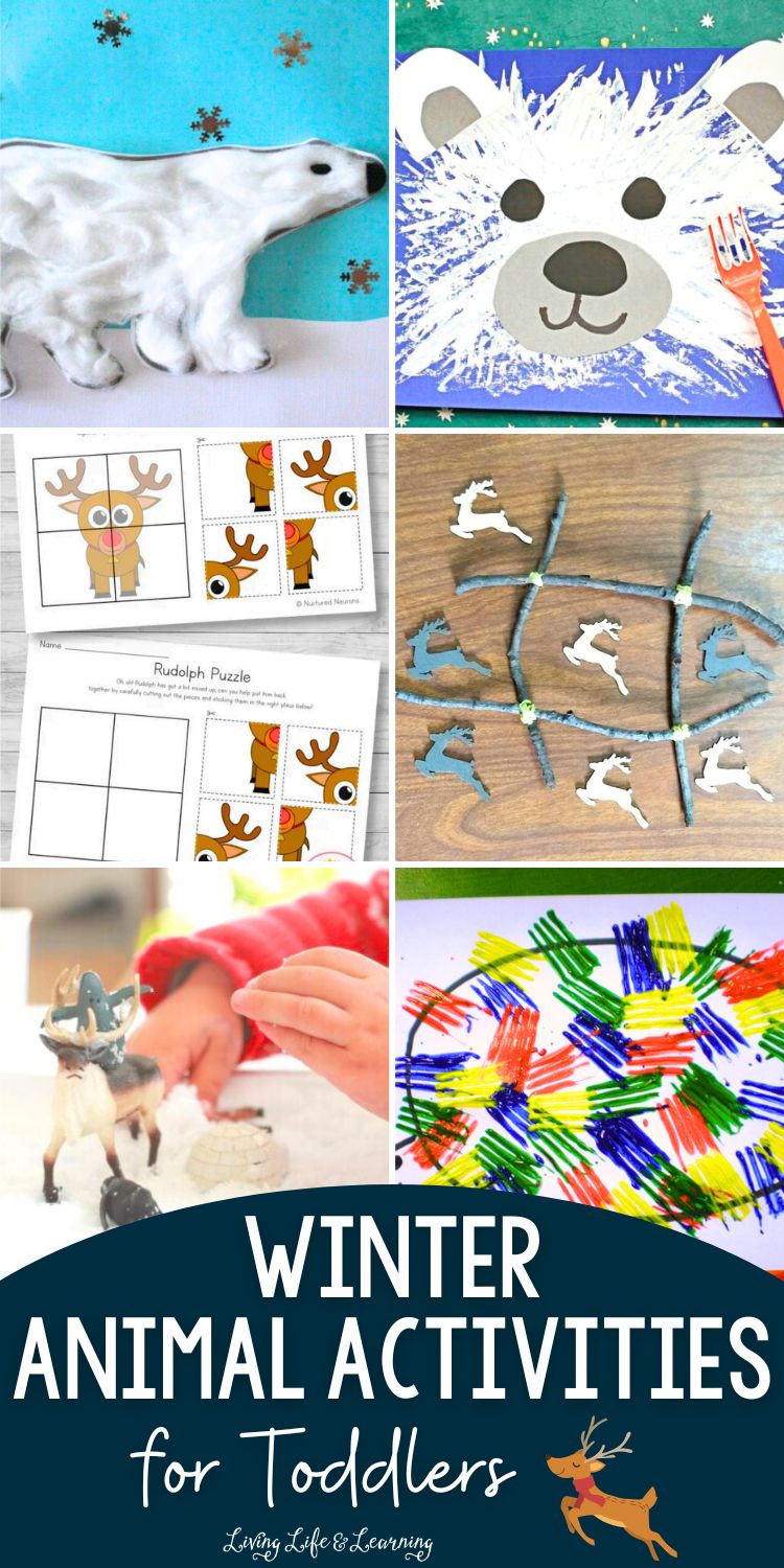 Simple and Creative Winter Animal Activities for Toddlers