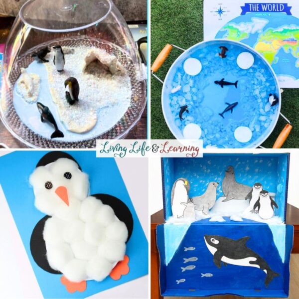 Antarctica Crafts For Preschool Bring The Frozen Continent To Life Antarctica Crafts For Preschool Bring The Frozen Continent To Life