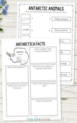 Antarctica Worksheets: Exploring the Coldest Place on Earth