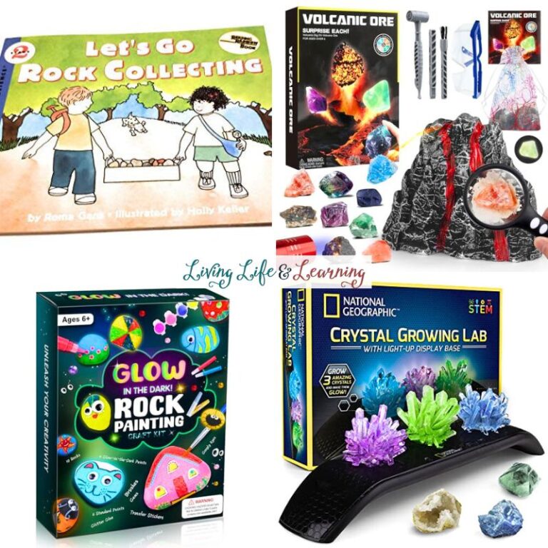 The Ultimate Guide to Gifts for Kids Who Love Rocks