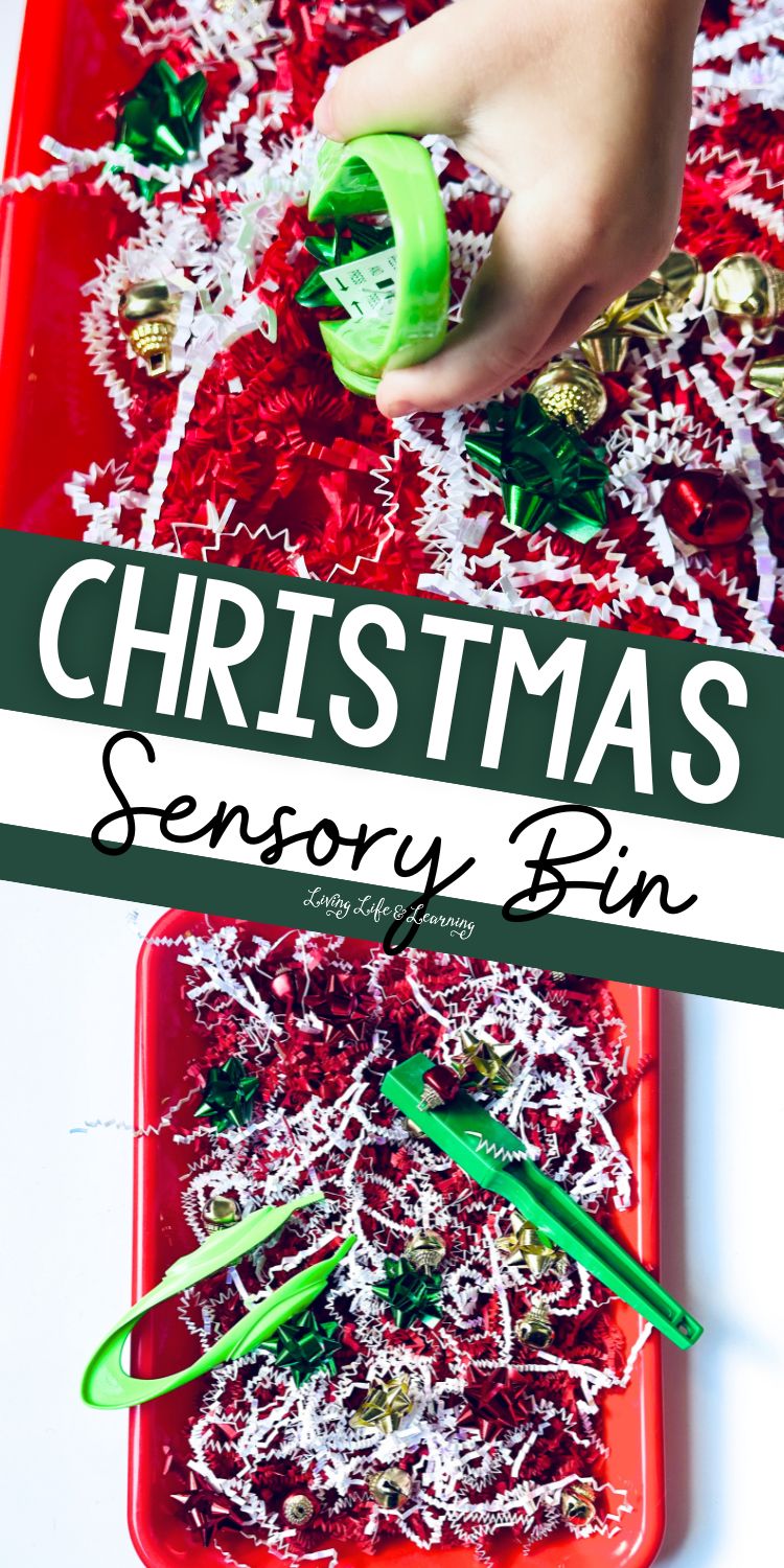 How to Make a Christmas Sensory Bin: Fun Learning for Kids