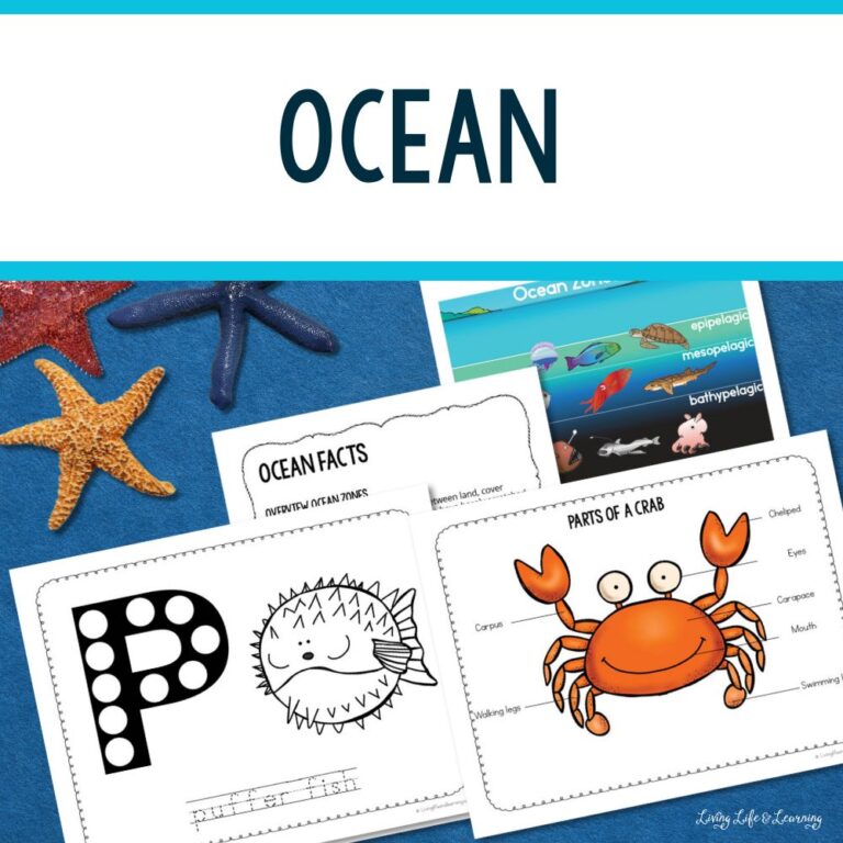 Paper Plate Jellyfish Craft for Ocean-Themed Learning