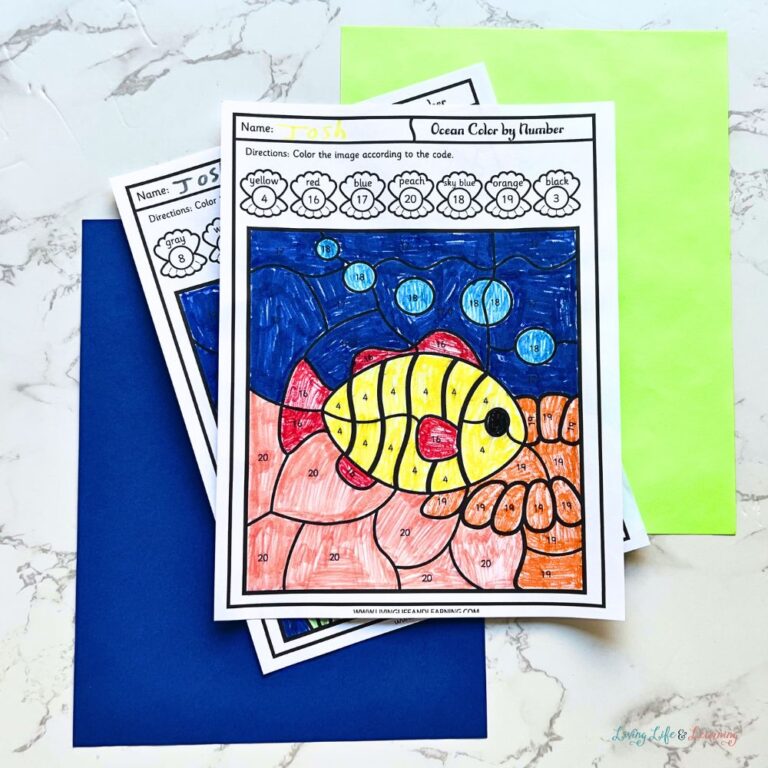 Ocean Activity Mats: Fun and Educational Ocean Explorations