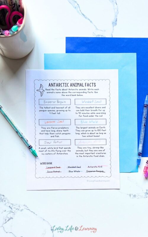 Antarctic Animals Worksheets: Winter Discovery and Learning