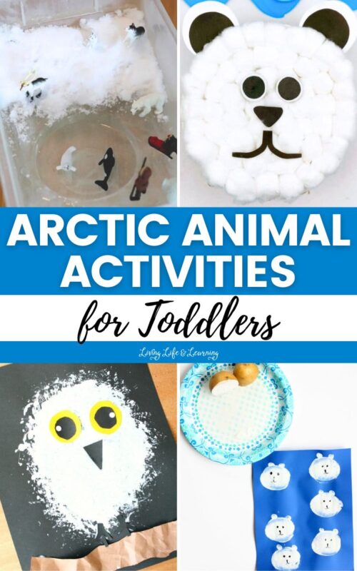 Arctic Animal Activities for Toddlers: Fun and Educational Ideas