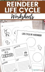 Free Christmas Printable: Reindeer Life Cycle Worksheets for Kids