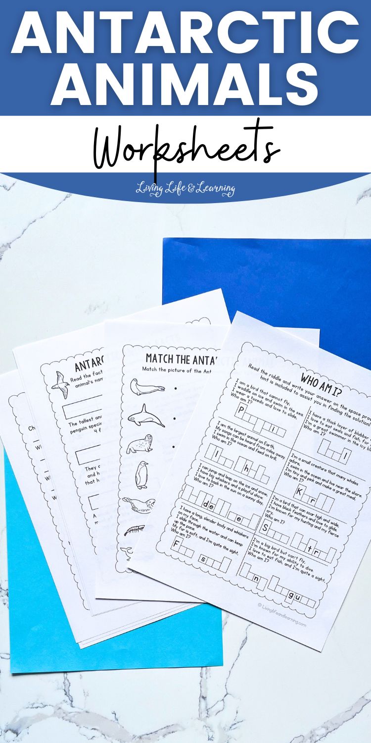 Antarctic Animals Worksheets: Winter Discovery and Learning