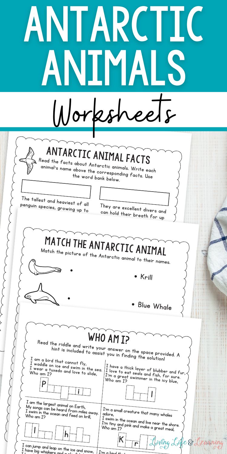 Antarctic Animals Worksheets: Winter Discovery and Learning