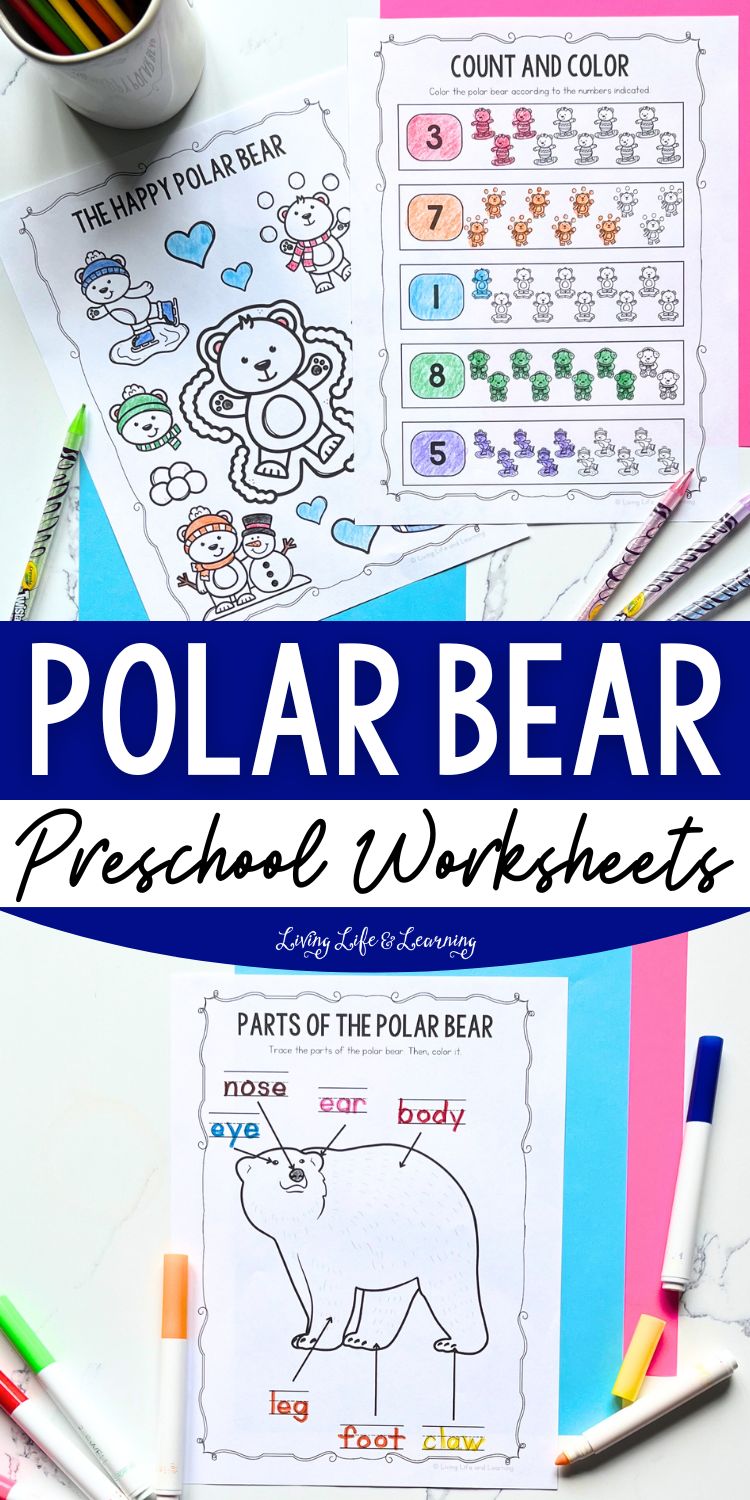 Teach and Explore with Polar Bear Preschool Worksheets