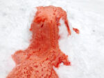 Science Experiments with Snow: Fun Winter Ideas