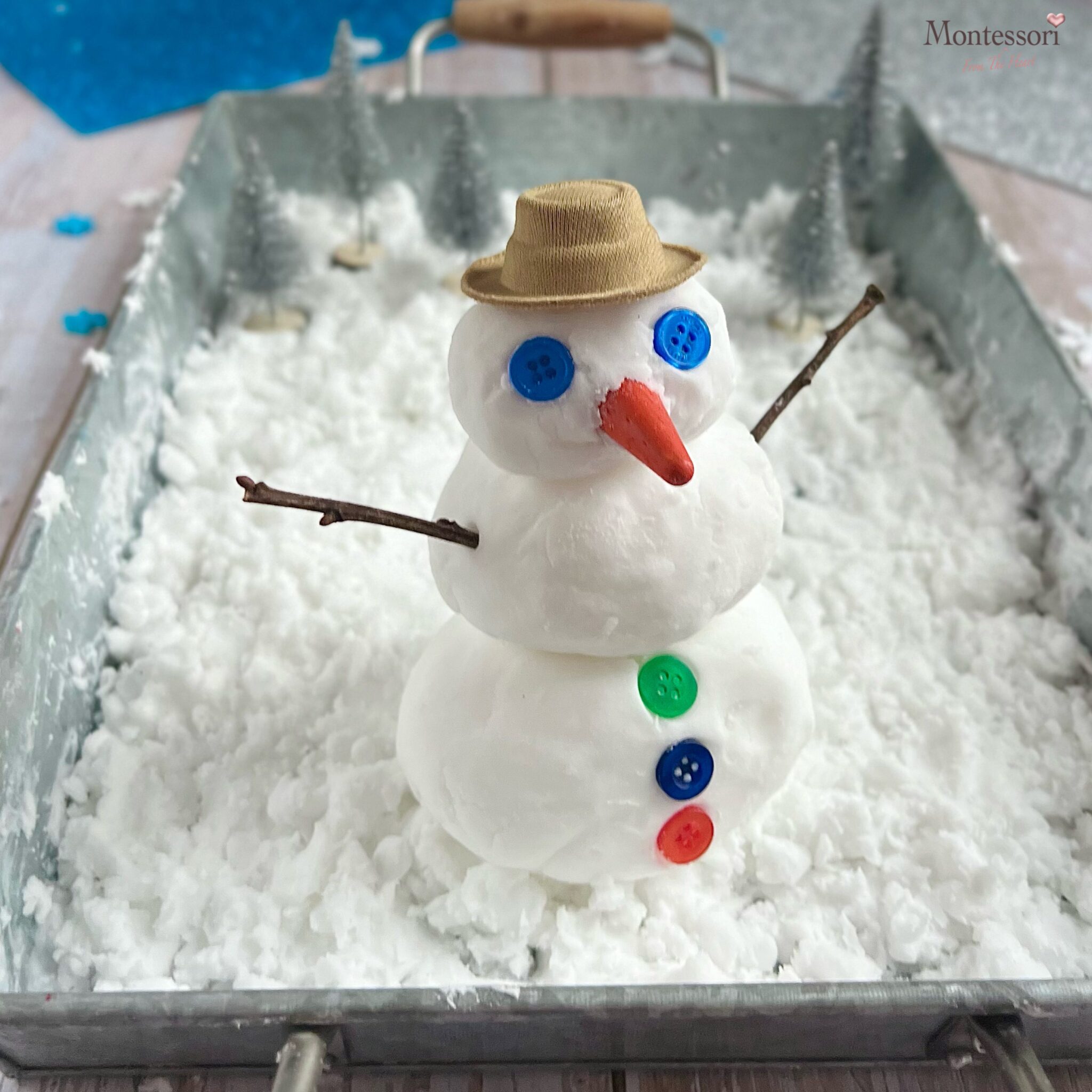 Science Experiments with Snow: Fun Winter Ideas