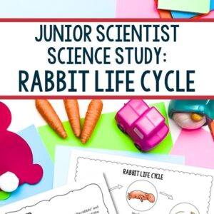 Discover the Anatomy of a Rabbit with Engaging Worksheets
