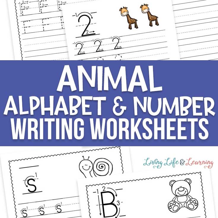 Turn Zoo Visits into Educational Adventures with Worksheets