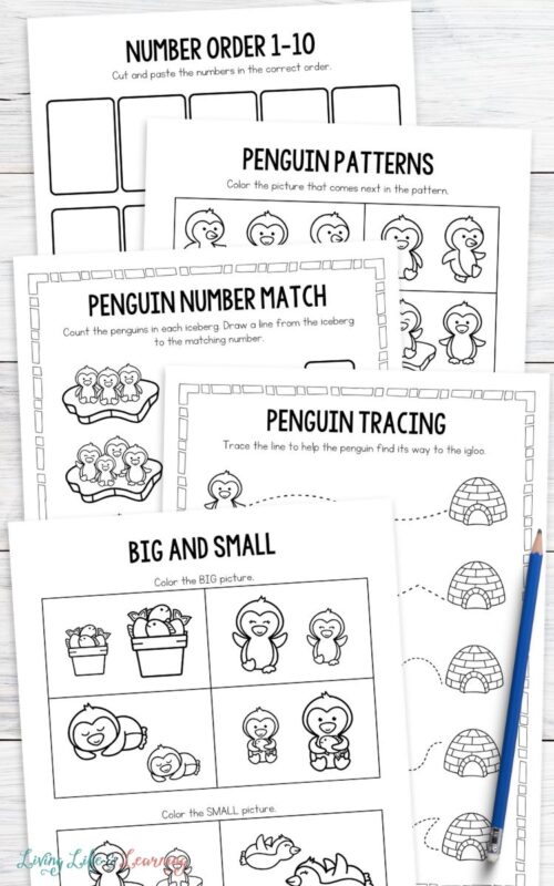 Penguin Worksheets for Preschool: Easy Learning Ideas