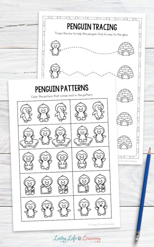 Penguin Worksheets for Preschool: Easy Learning Ideas