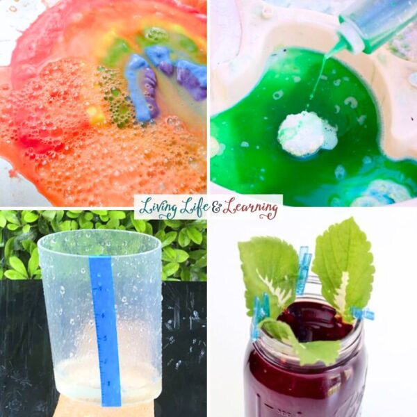 Fun and Educational Spring Science Activities for Preschoolers