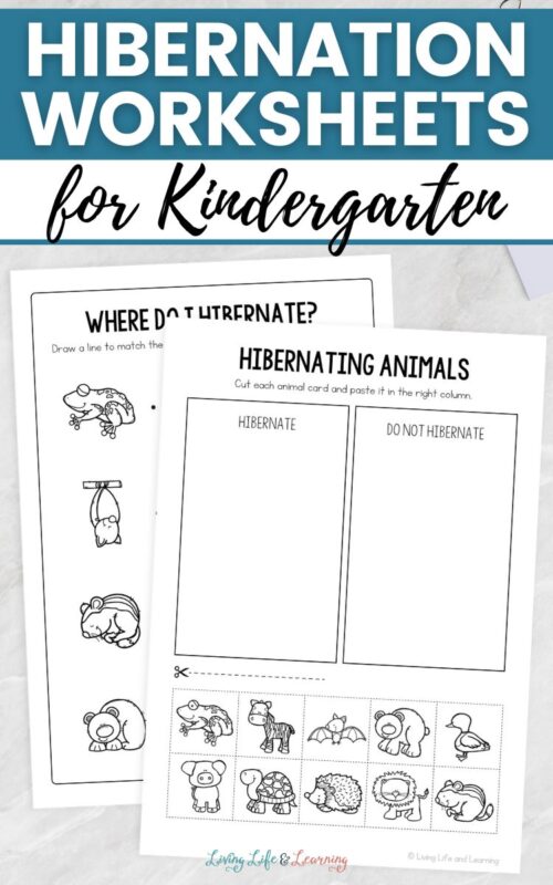 Hibernation Worksheets for Kindergarten: Fun Winter Resources