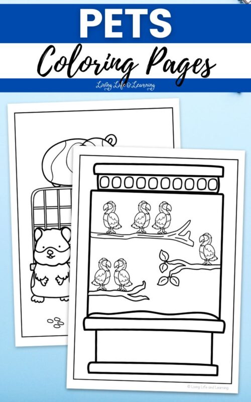 Pets Coloring Pages to Explore Animal World