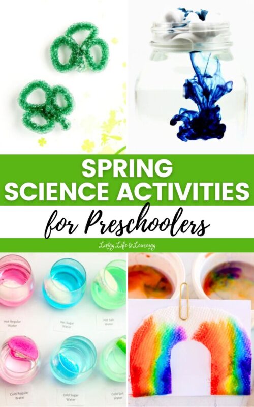 Fun and Educational Spring Science Activities for Preschoolers