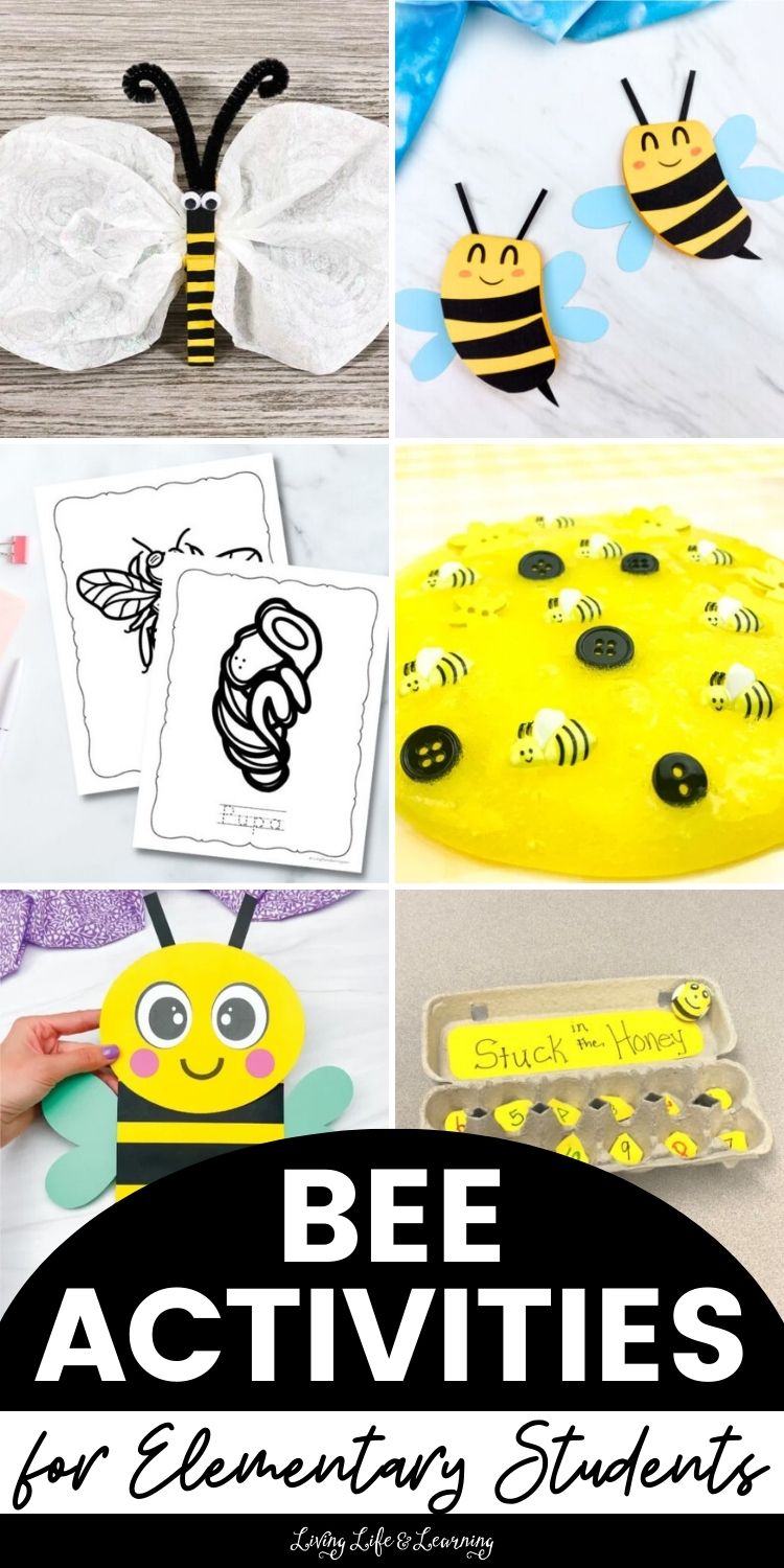 Bee Activities for Elementary Students: Fun Crafts and More