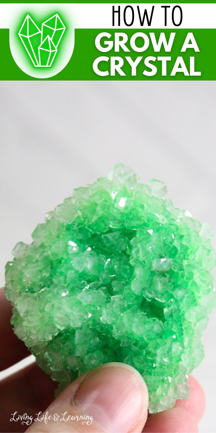 The Wonders of Crystal Growth: Learn How to Grow a Crystal