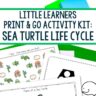 Fun and Easy Sea Turtle Life Cycle Craft for Kids of All Ages