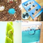 Engaging Ant STEM Activities for Kids to Explore Science Concepts