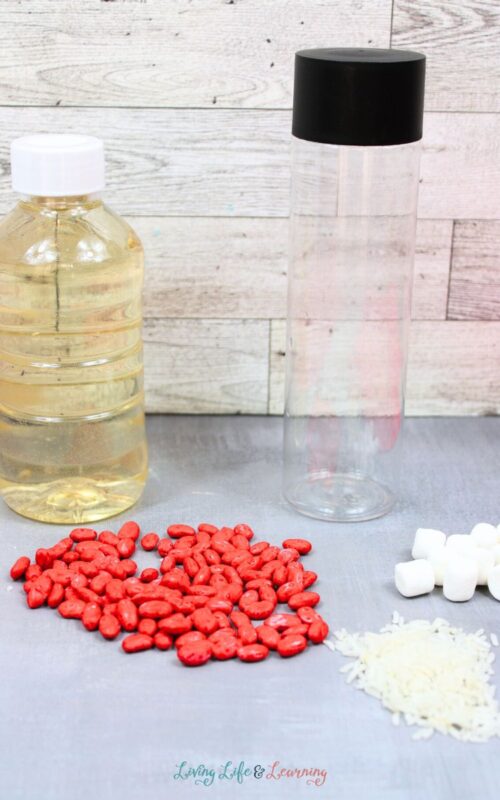 Blood Model in a Bottle: Exploring Vascular Systems